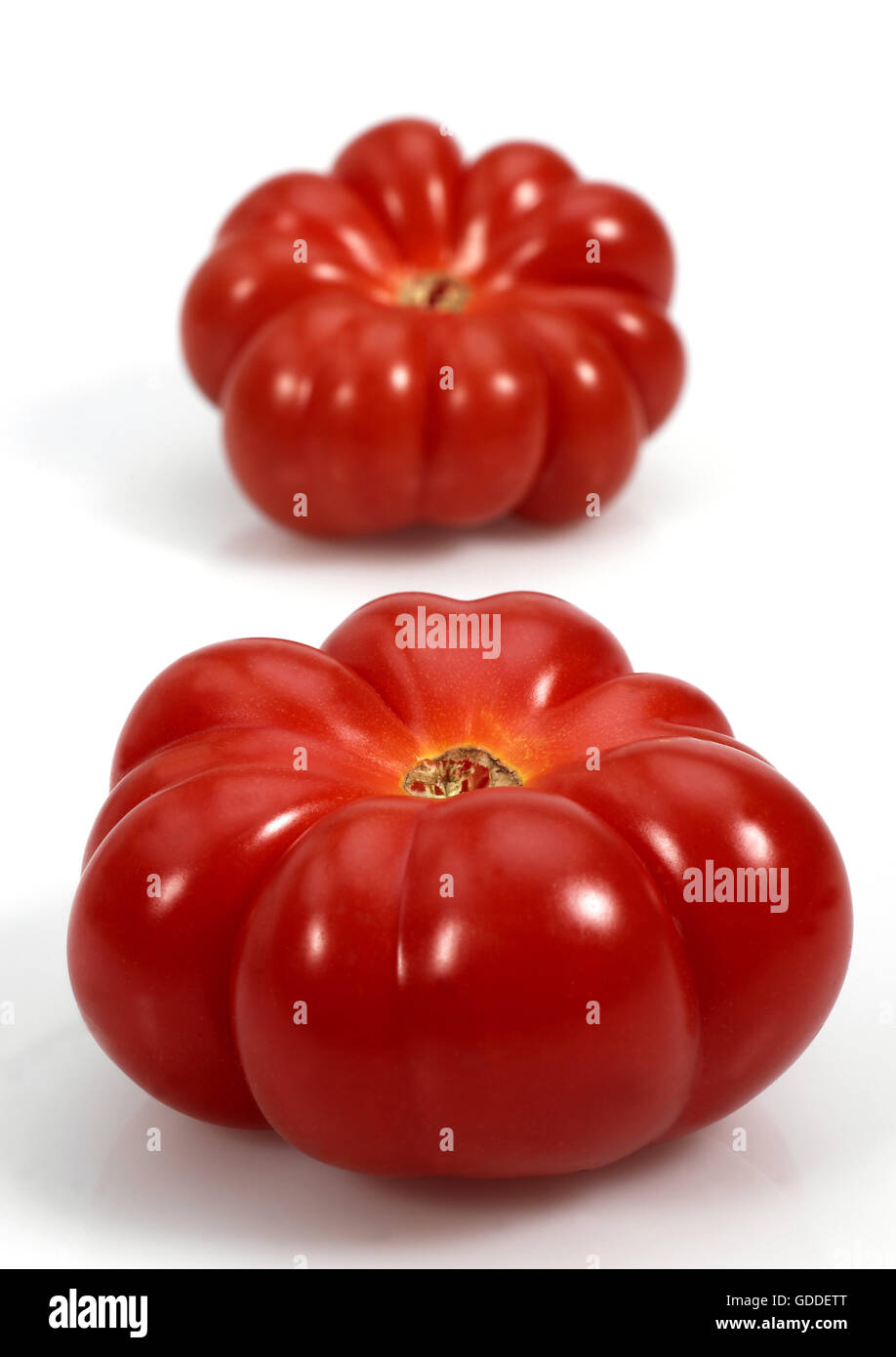 Tomatoes camone hi-res stock photography and images - Alamy