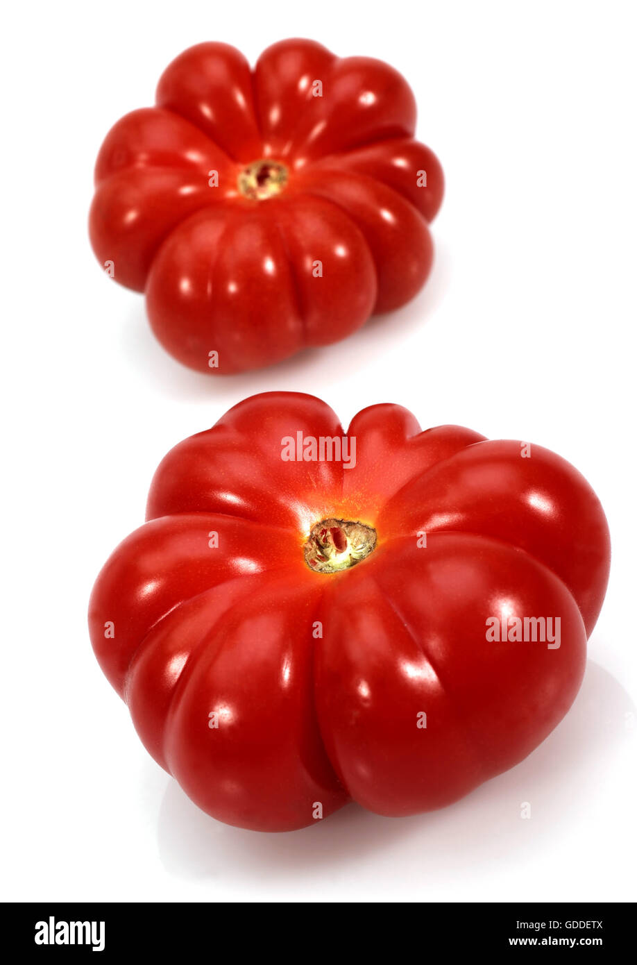 Tomato camone hi-res stock photography and images - Alamy