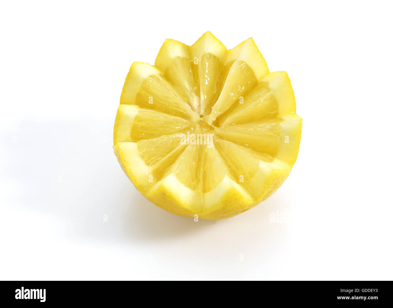 YELLOW LEMON Citrus lemon AGAINST WHITE BACKGROUND Stock Photo - Alamy