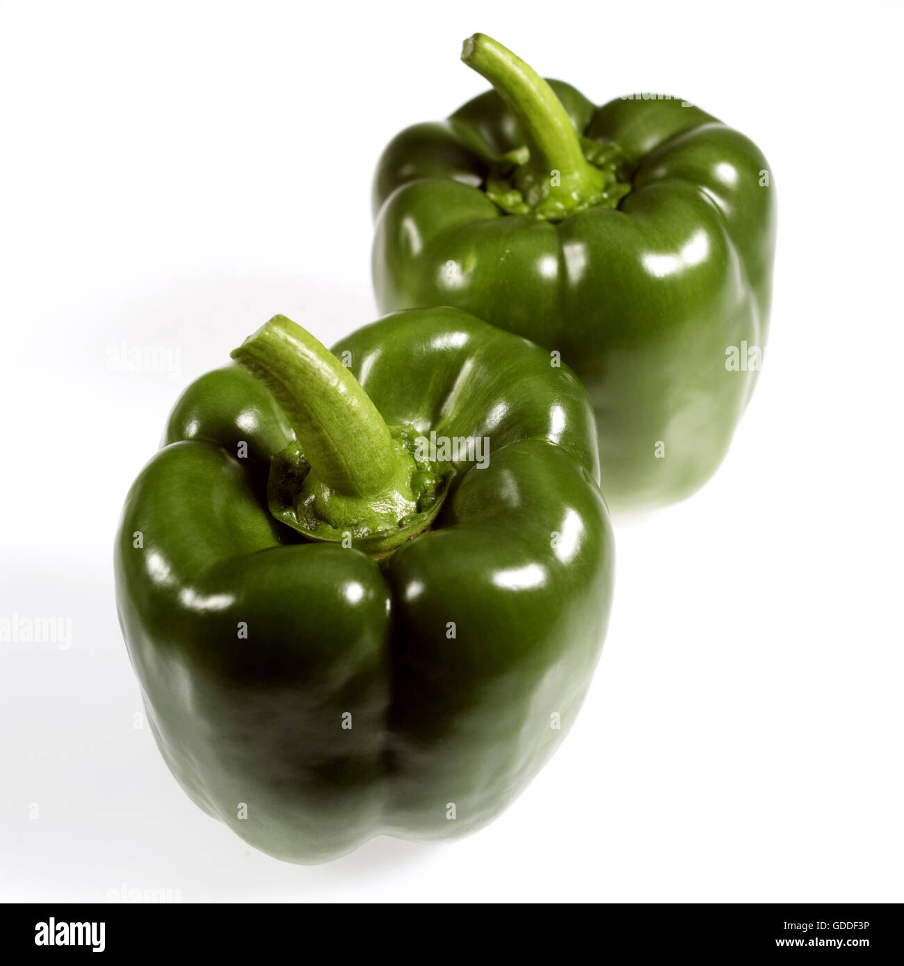 Sweet Green Pepper, capsicum annuum, Vegetables against White ...