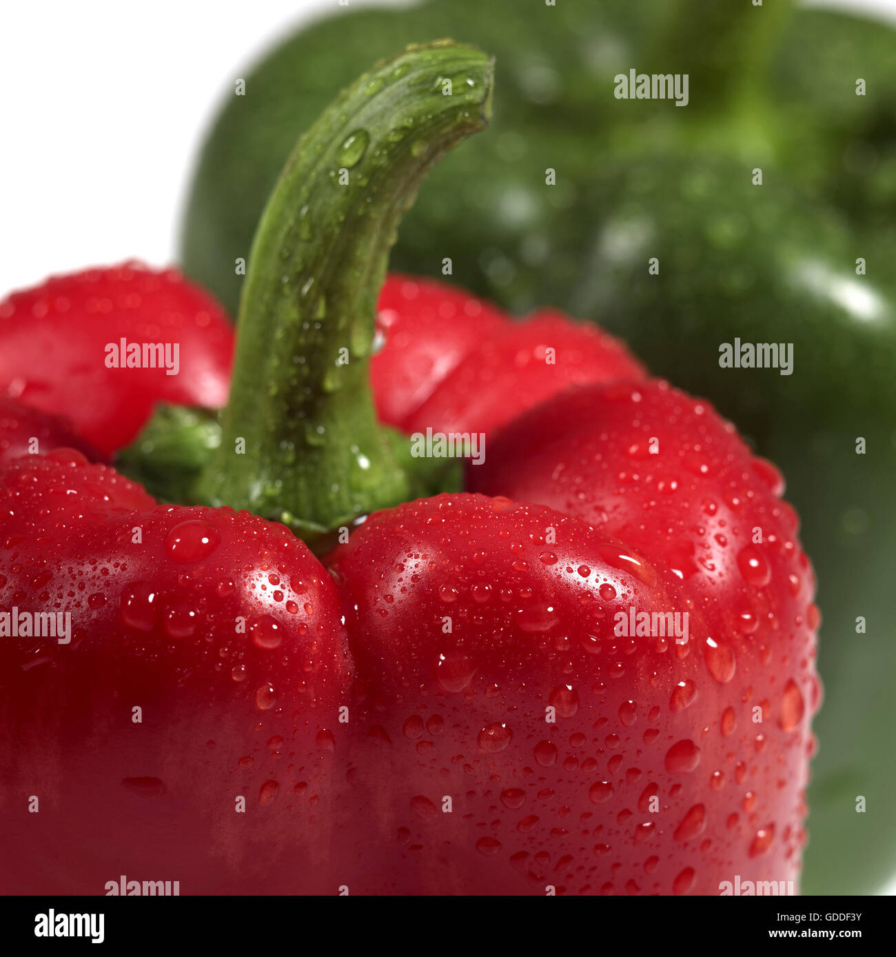 Sweet Red Pepper and Sweet Green Pepper, capsicum annuum, Vegetables ...