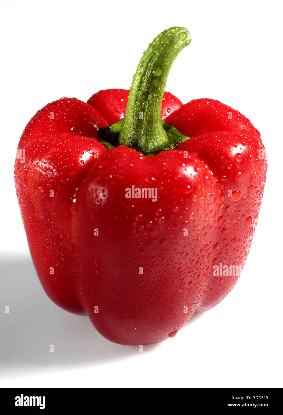 SWEET RED PEPPER capsicum annuum AGAINST WHITE BACKGROUND Stock Photo ...