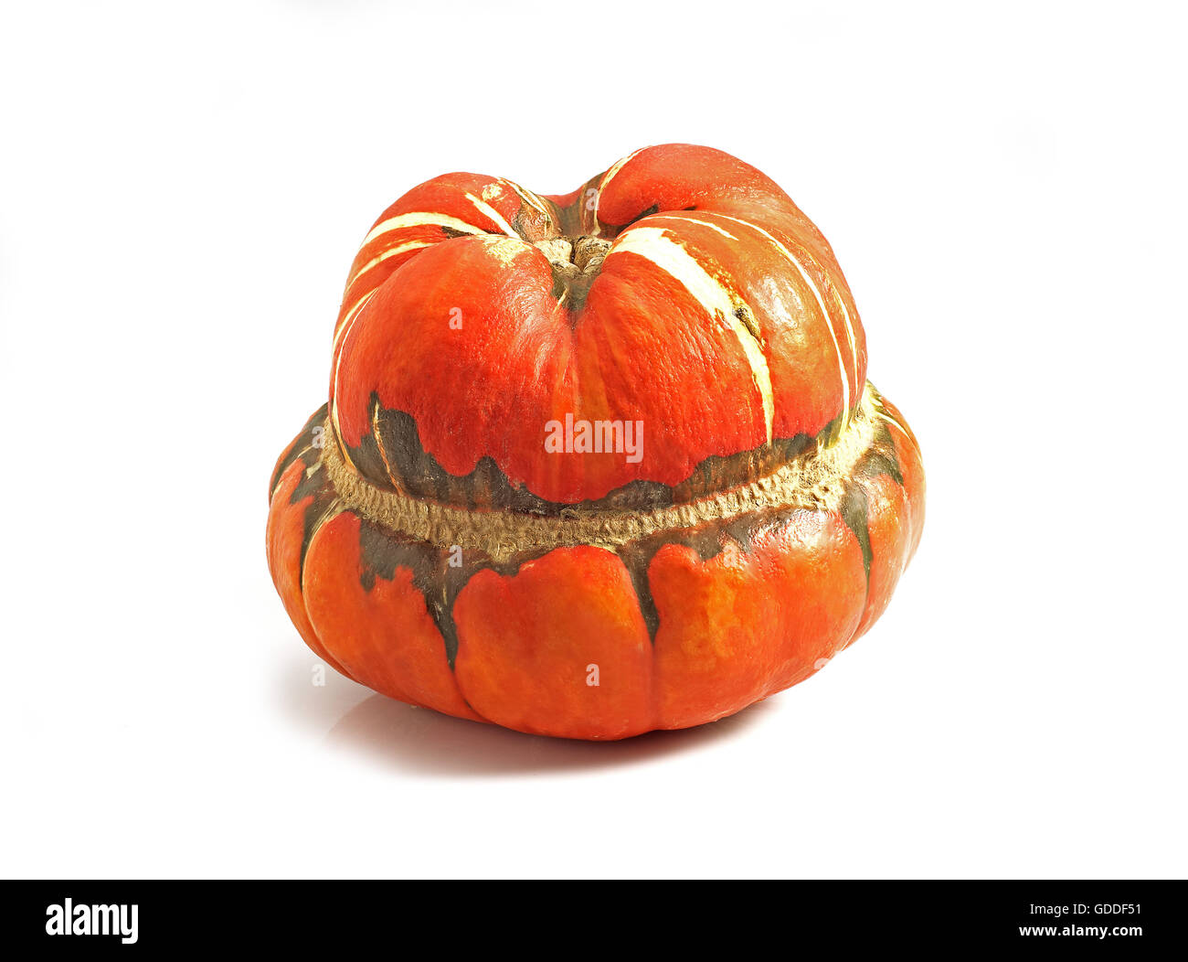 Giromon Squash