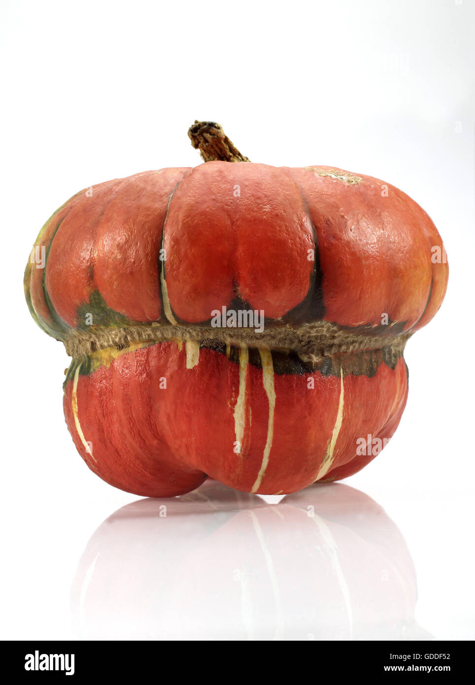 Giraumon cucurbita maxima hi-res stock photography and images - Alamy
