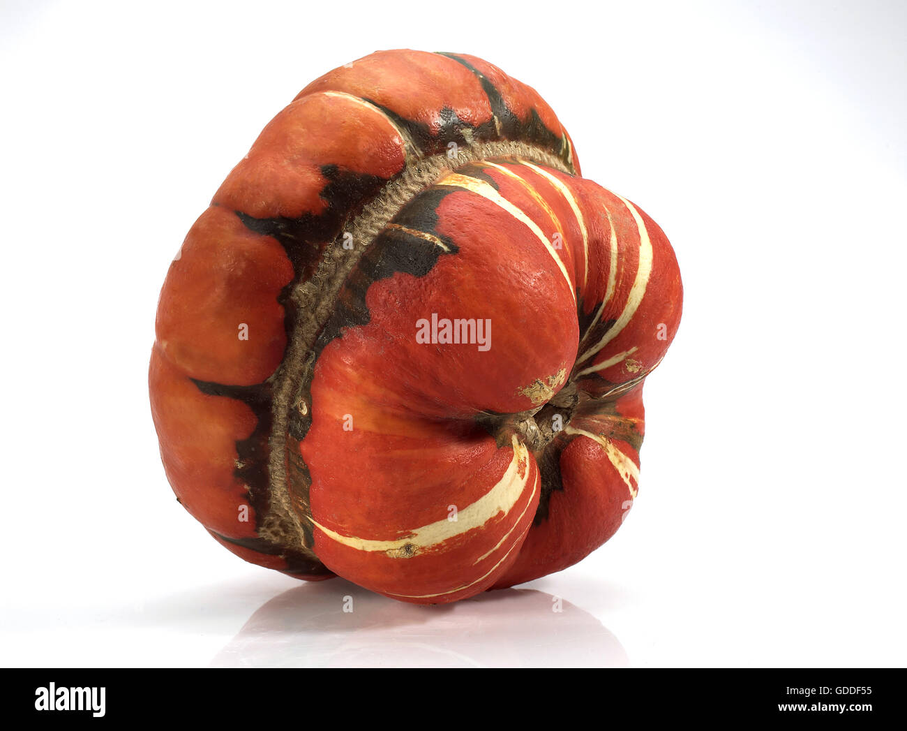 Giromon Squash