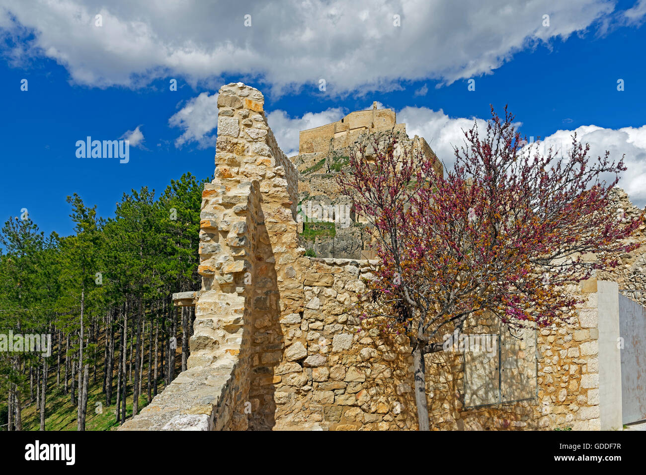 Tree fortress hi-res stock photography and images - Alamy