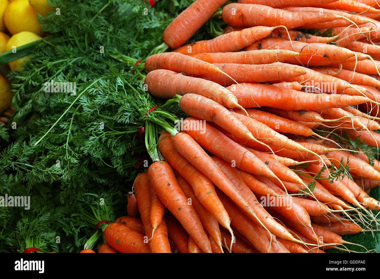 Carrot, daucus carota, Vegetable at Market Stall Stock Photo - Alamy