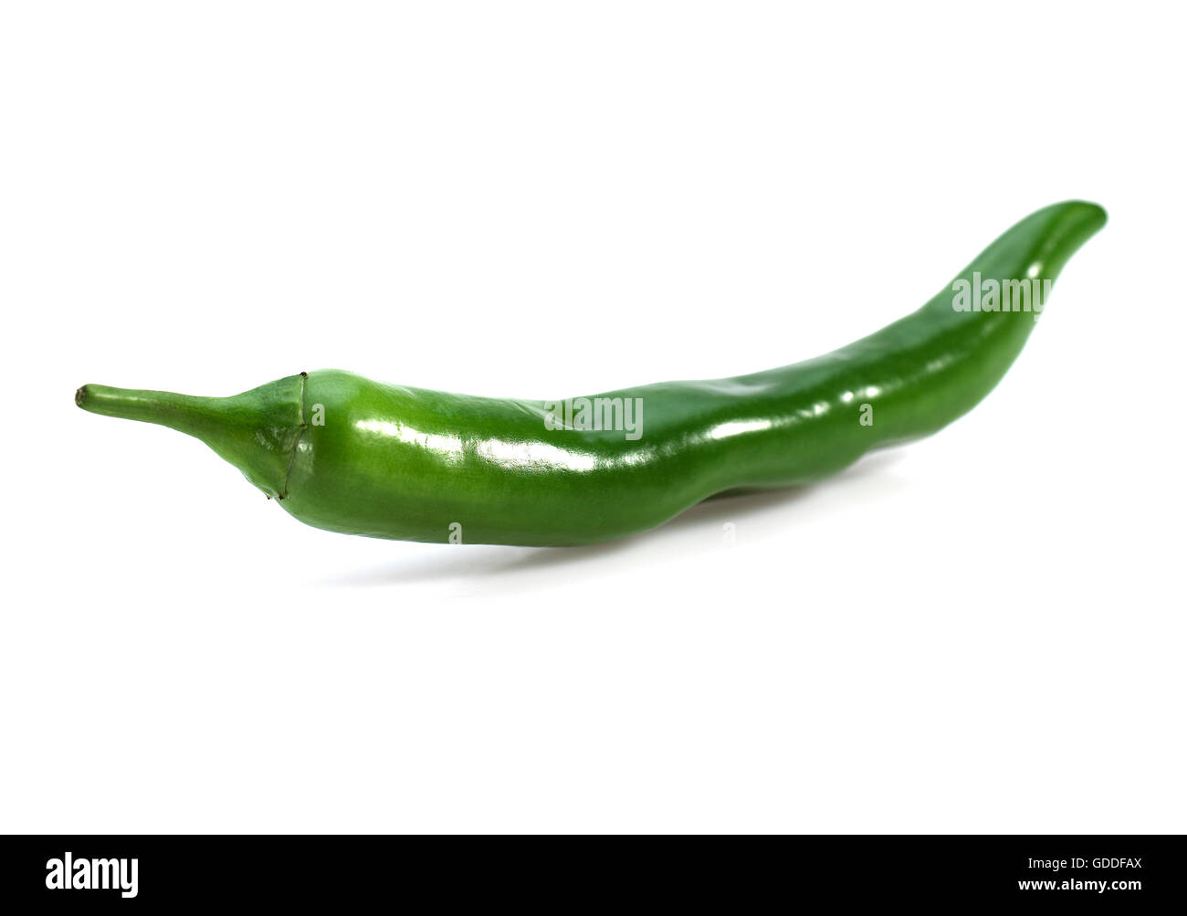 Green Chili Pepper, capsicum annuum Stock Photo - Alamy