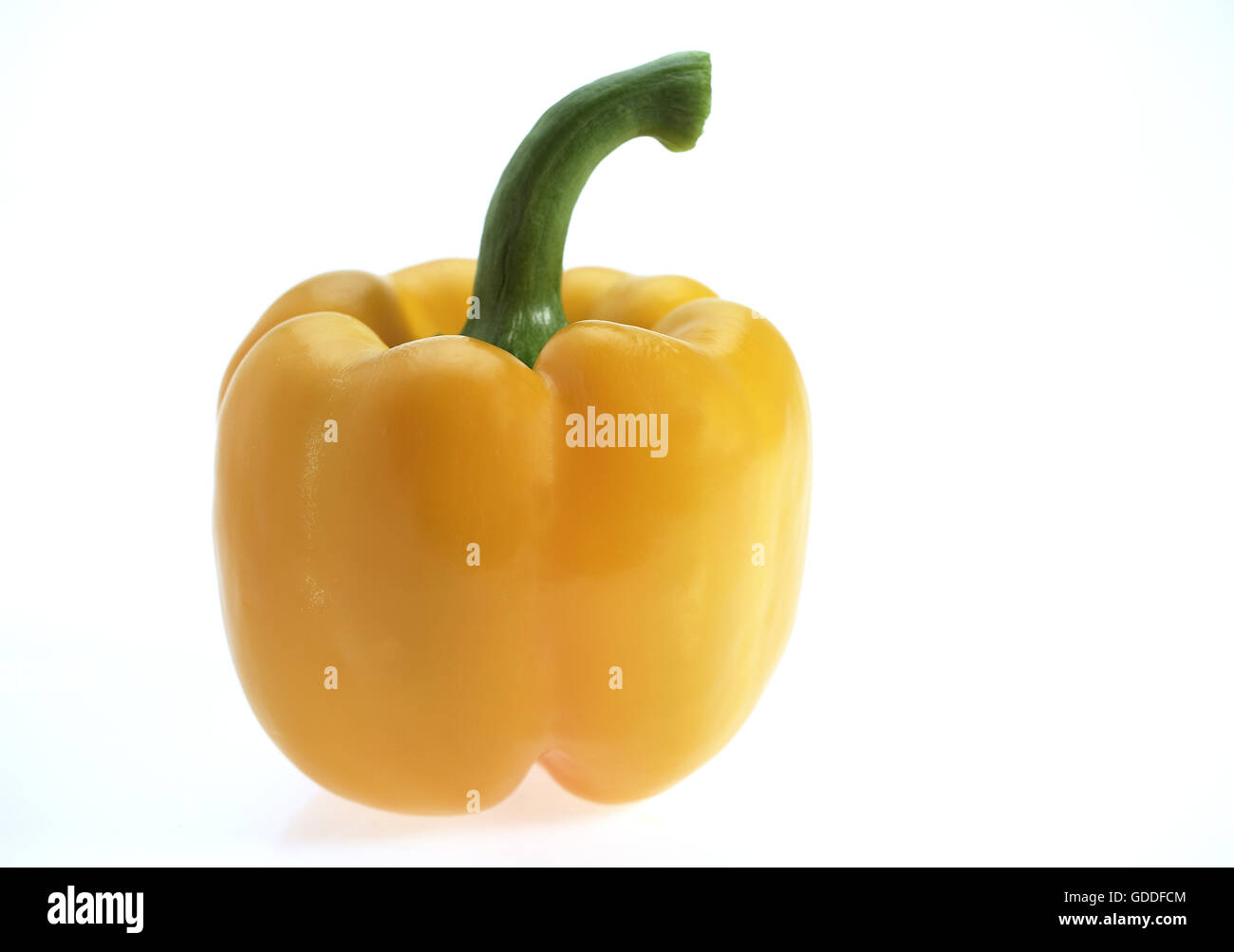 Yellow capsicum annuum hi-res stock photography and images - Alamy