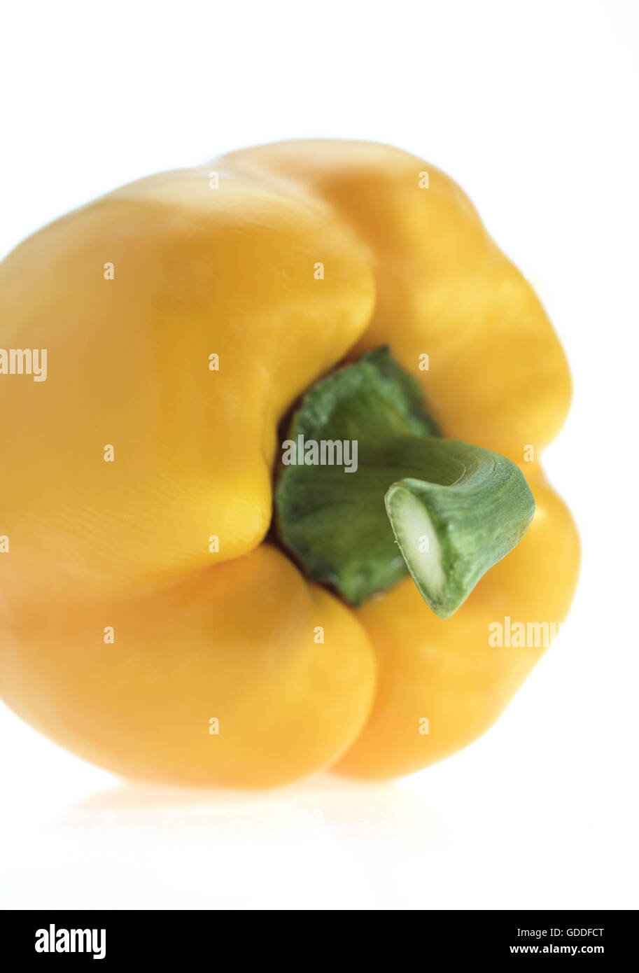 Sweet Yellow Pepper, capsicum annuum against White Background Stock ...
