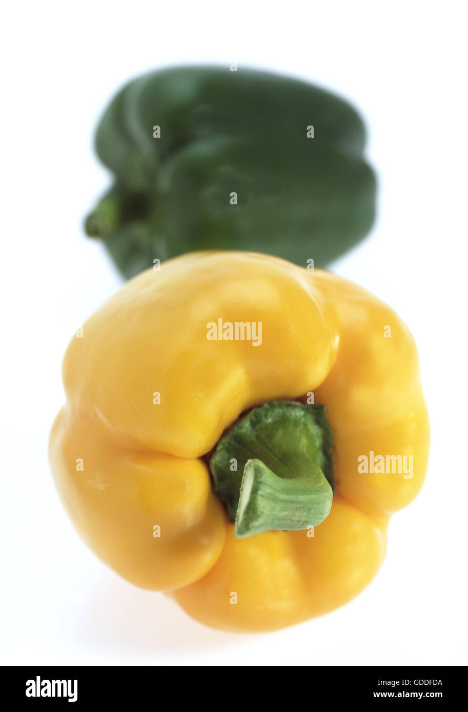 SWEET GREEN AND SWEET YELLOW PEPPER capsicum annuum Stock Photo - Alamy