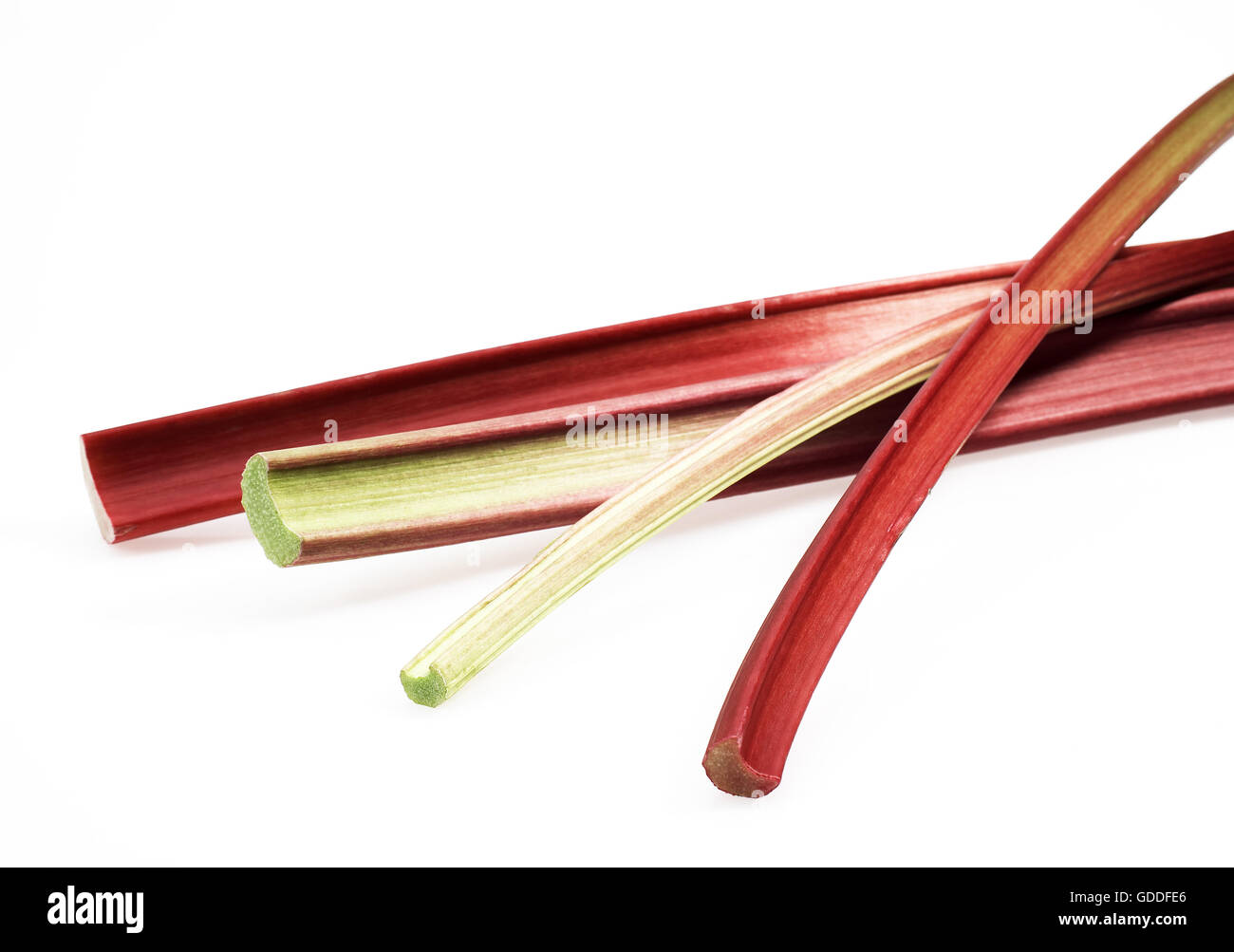 RHUBARB Rheum rhabarbarum AGAINST WHITE BACKGROUND Stock Photo - Alamy
