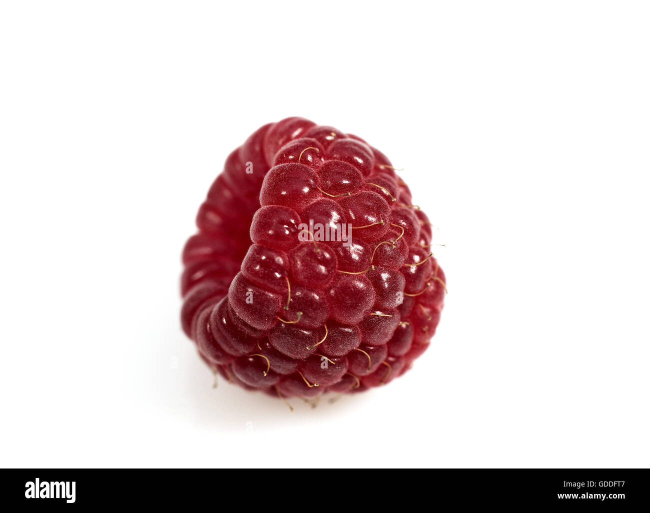 RASPBERRY AGAINST WHITE BACKGROUND Stock Photo - Alamy