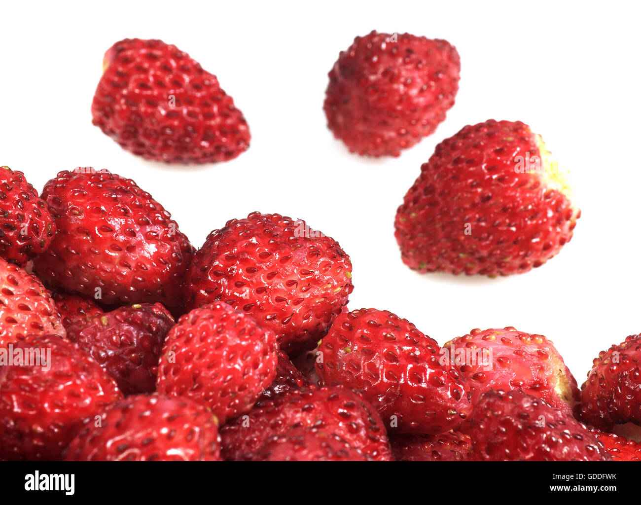 AGAINST WHITE BACKGROUND Stock Photo - Alamy