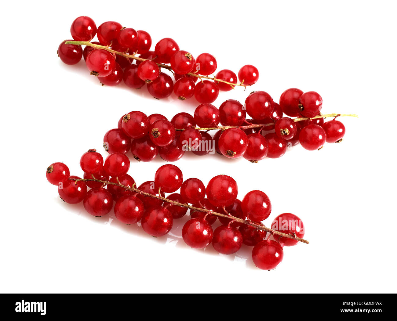 Ribes rubrum fruit Cut Out Stock Images & Pictures - Alamy
