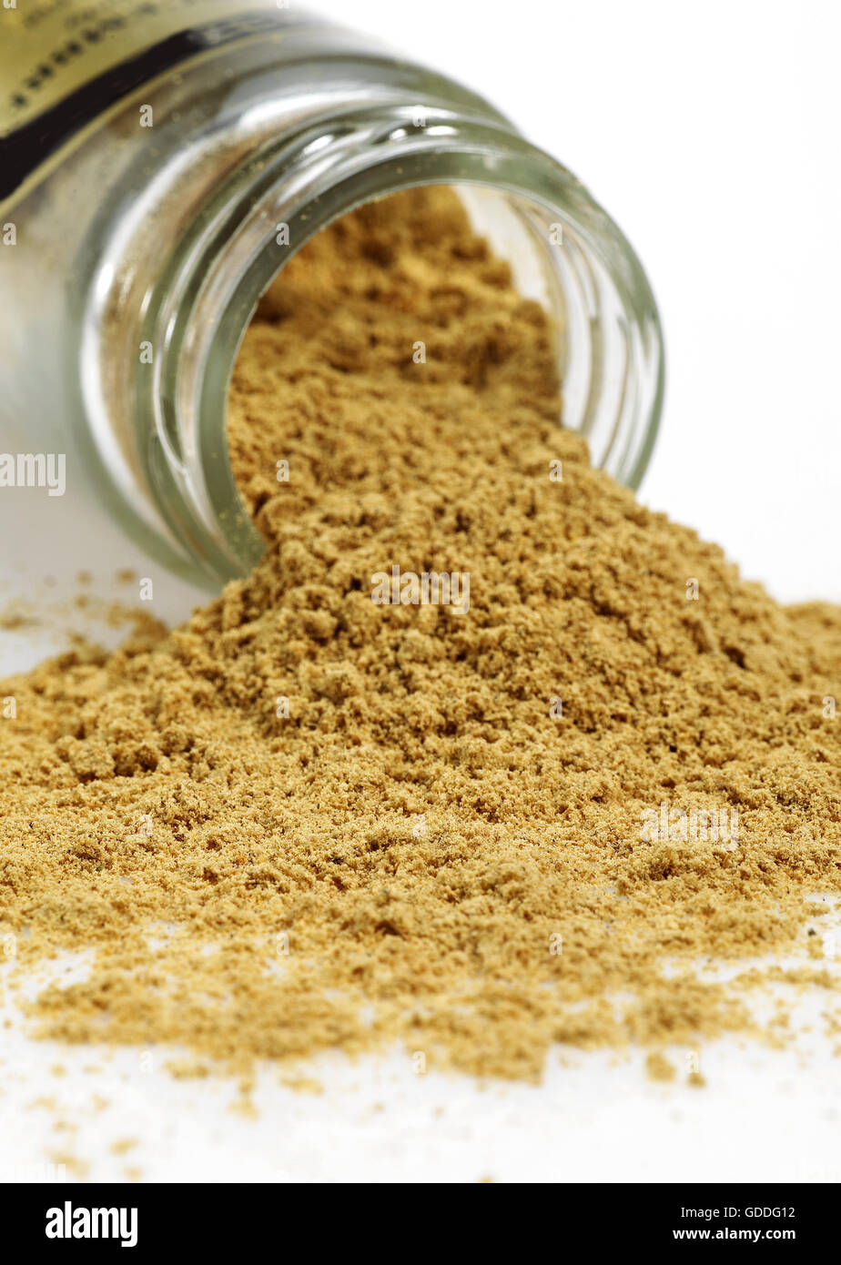 Ginger Powder, zingiber officinale against White Background Stock Photo ...