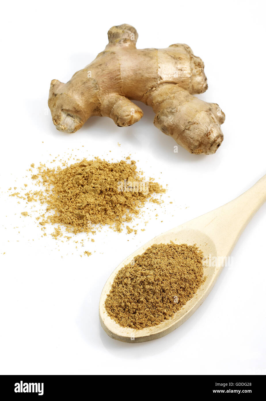 Ginger, zingiber officinale, Powder, Root against White background ...