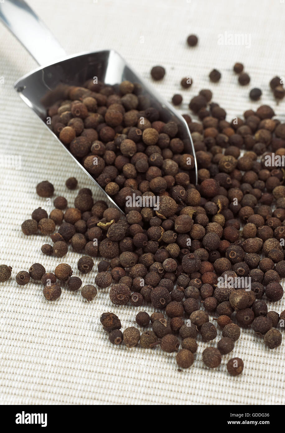 Pimenta officinalis hi-res stock photography and images - Alamy