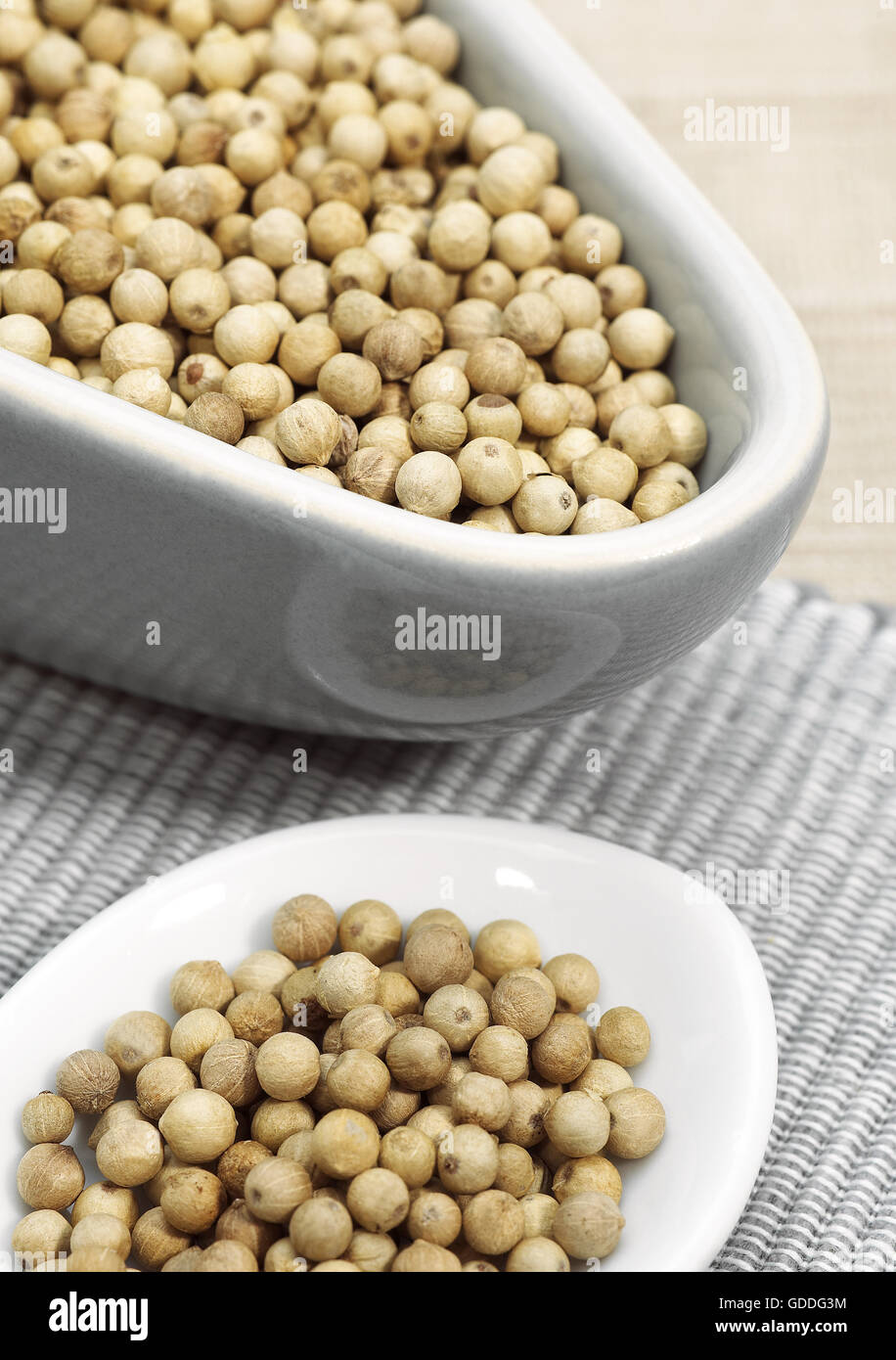 White Peppercorn, peper nigrum Stock Photo - Alamy