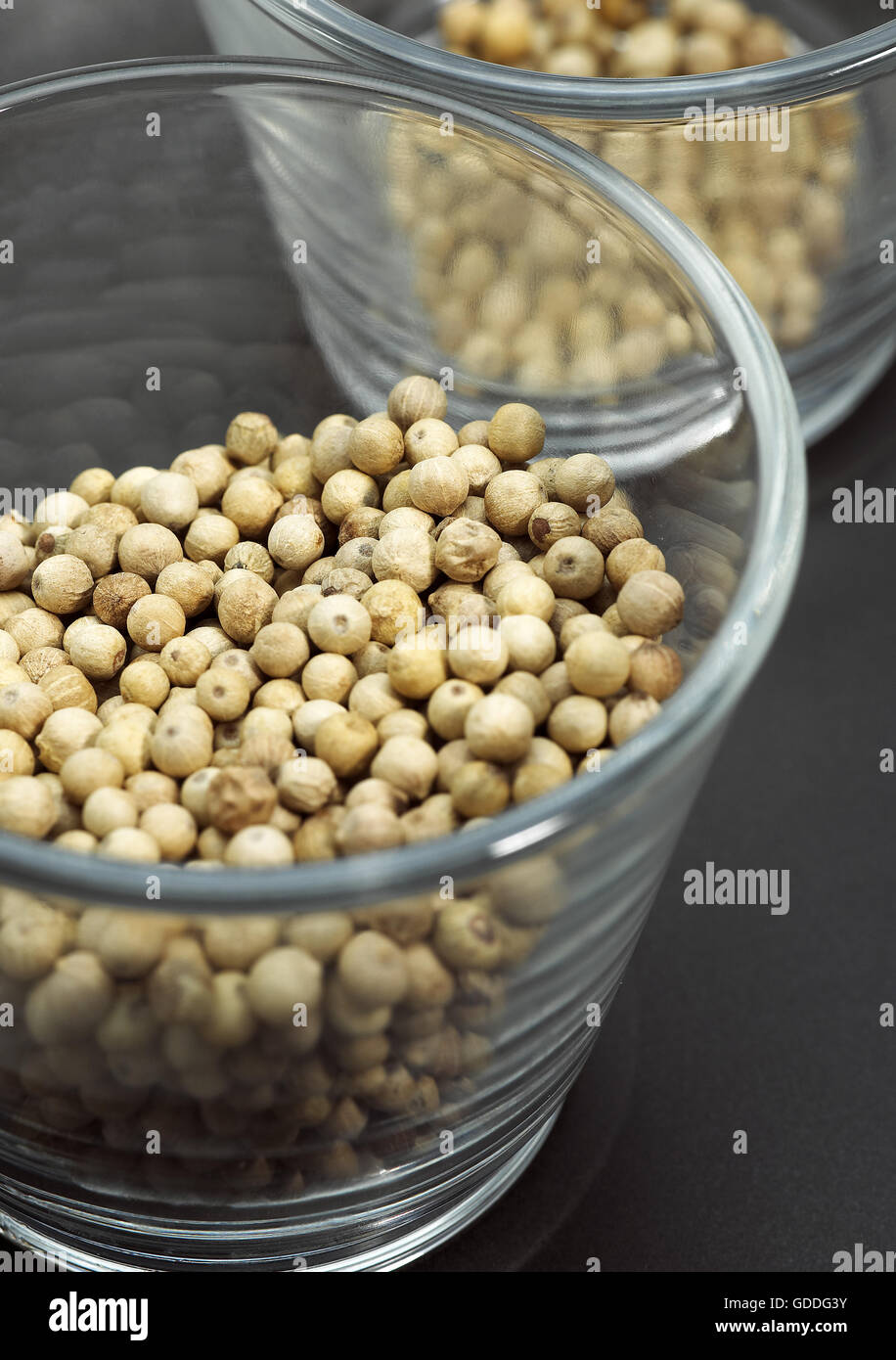 Peper peppercorn hi-res stock photography and images - Alamy