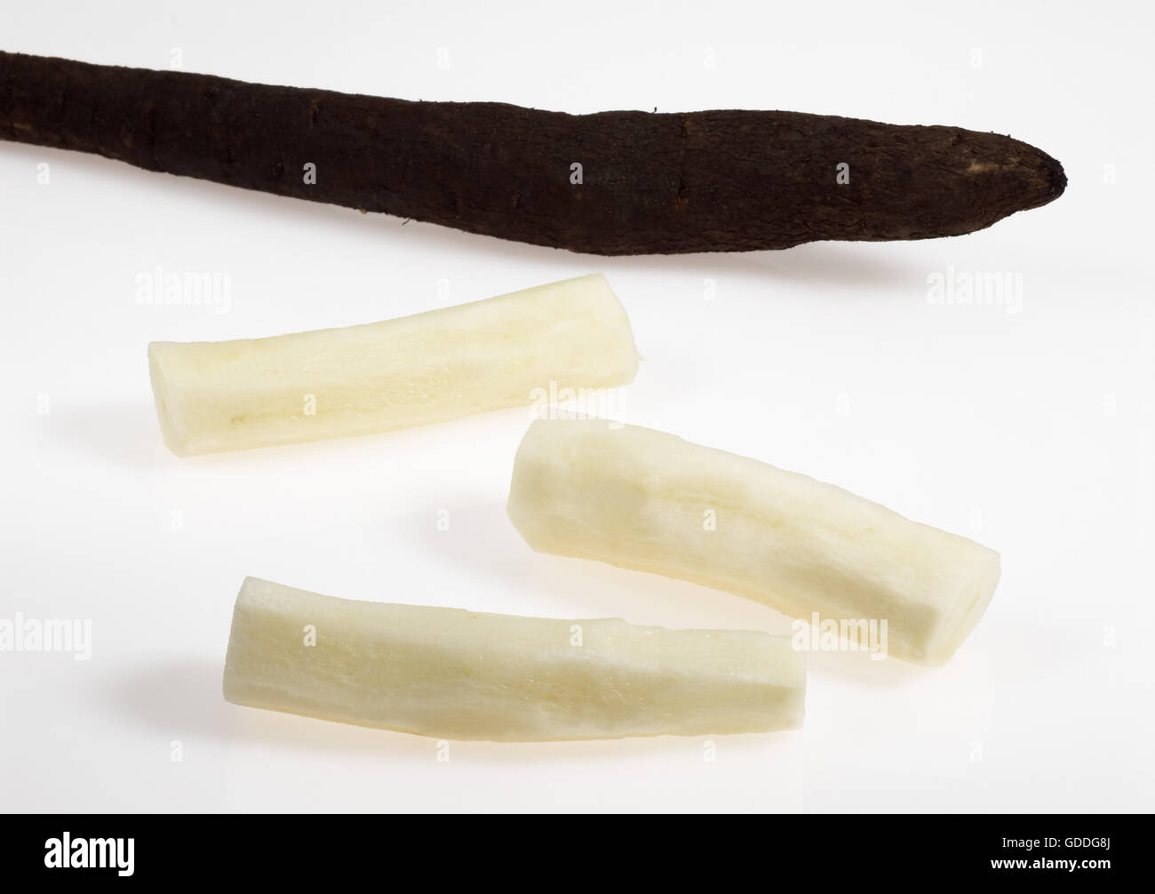 Salsify, tragopogon porrifolius, Fresh Roots against White Background ...