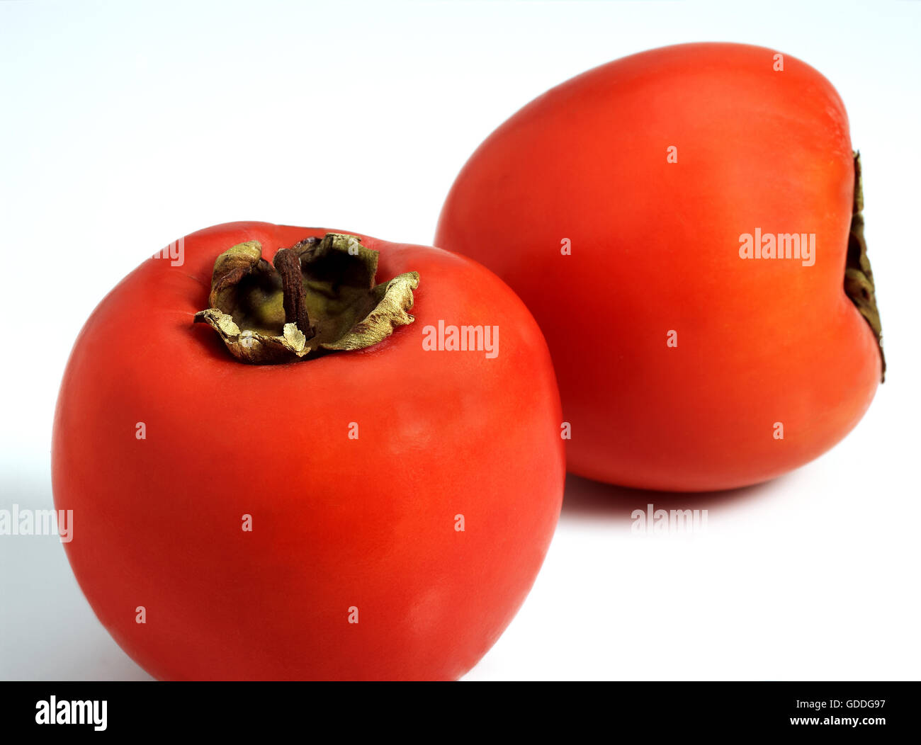Persimmon or Kaki or Sharon Fruit, diospyros kaki, Exotic Fruits ...