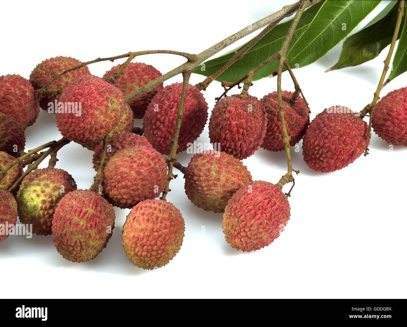 Litchi chinensis hi-res stock photography and images - Alamy