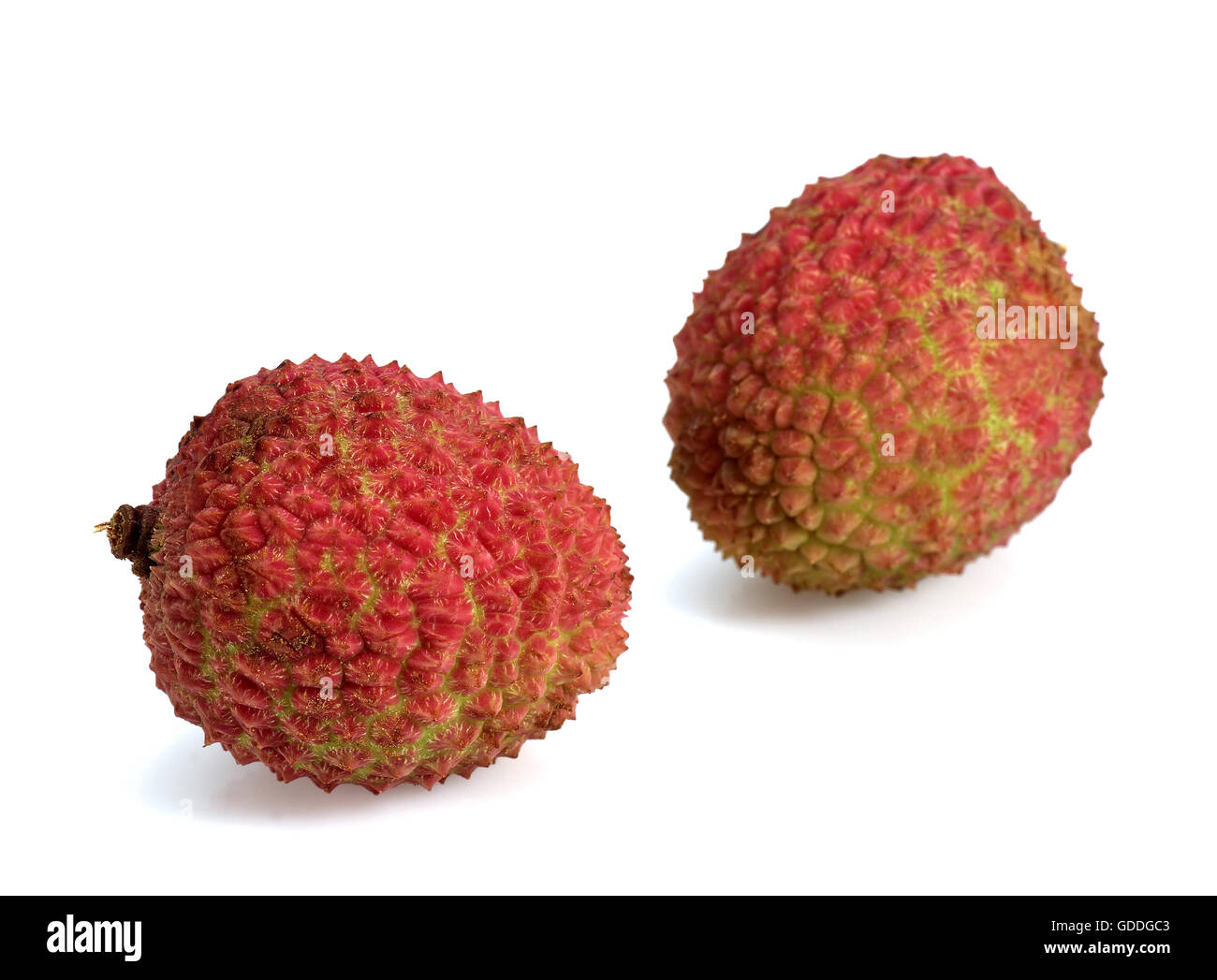Litchi tree Cut Out Stock Images & Pictures - Alamy