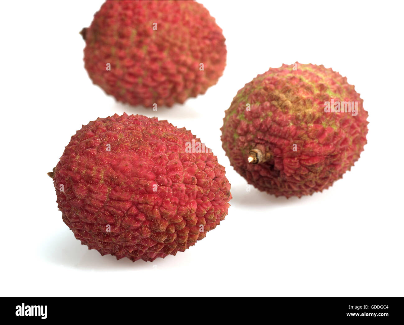 Litchi or Litchee, litchi sinensis, Exotic Fruits against White ...