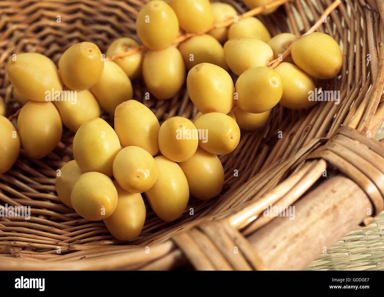 Fresh Dates, phoenix dactylifera, Fruits in a Basket Stock Photo - Alamy