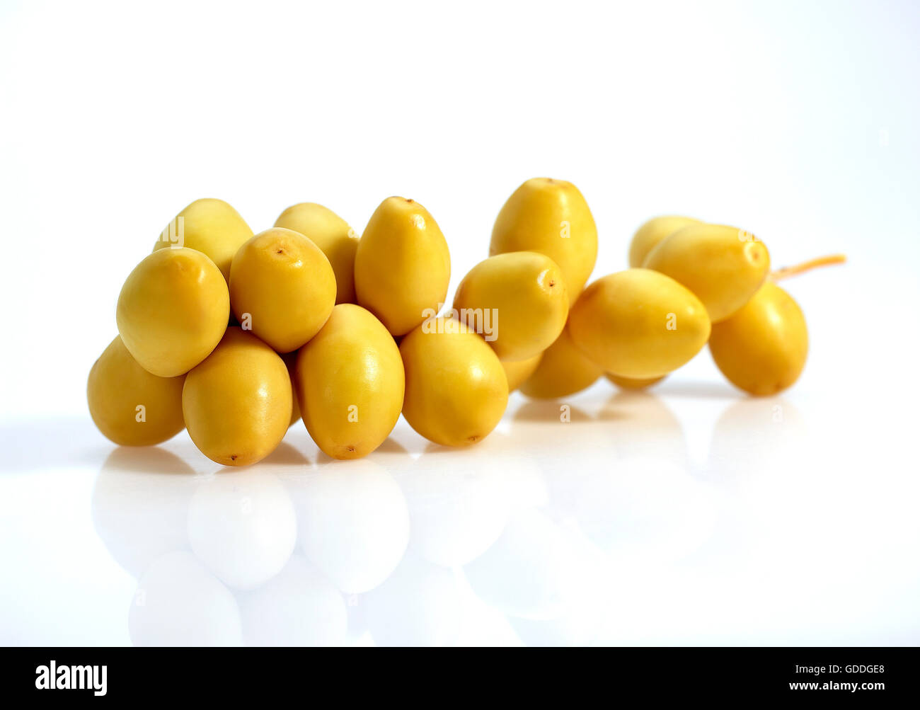 Fresh Dates, phoenix dactylifera against White Background Stock Photo ...