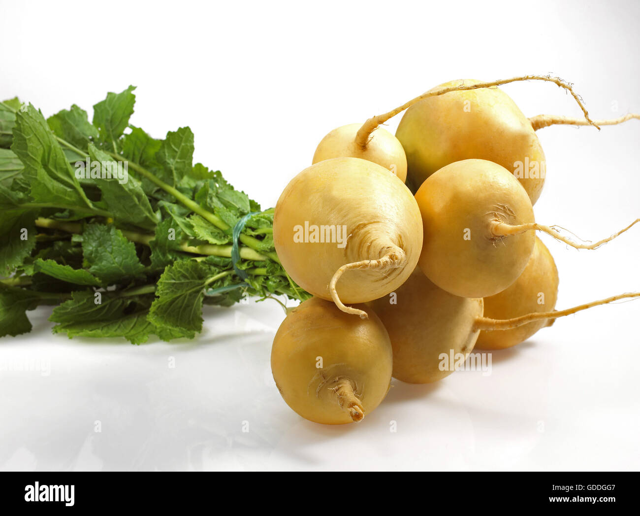 Golden Ball Turnips, brassica rapa, Vegetables against White Background ...