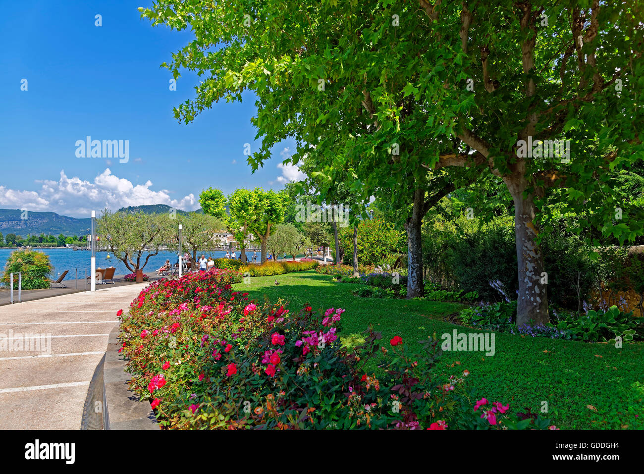 Bank promenade,lake Garda,lake Stock Photo - Alamy