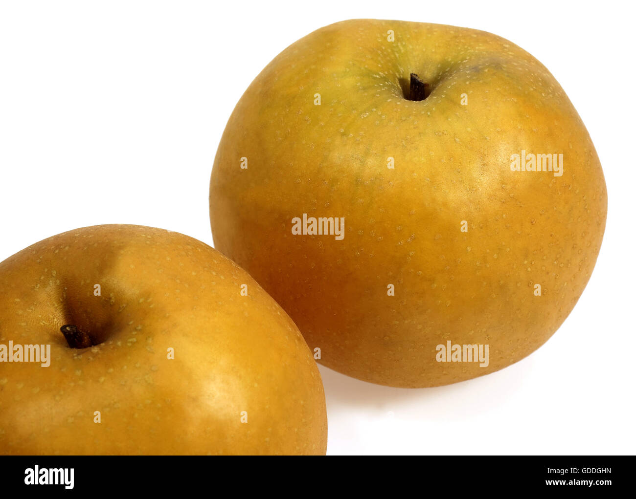 Nashi pear hi-res stock photography and images - Alamy