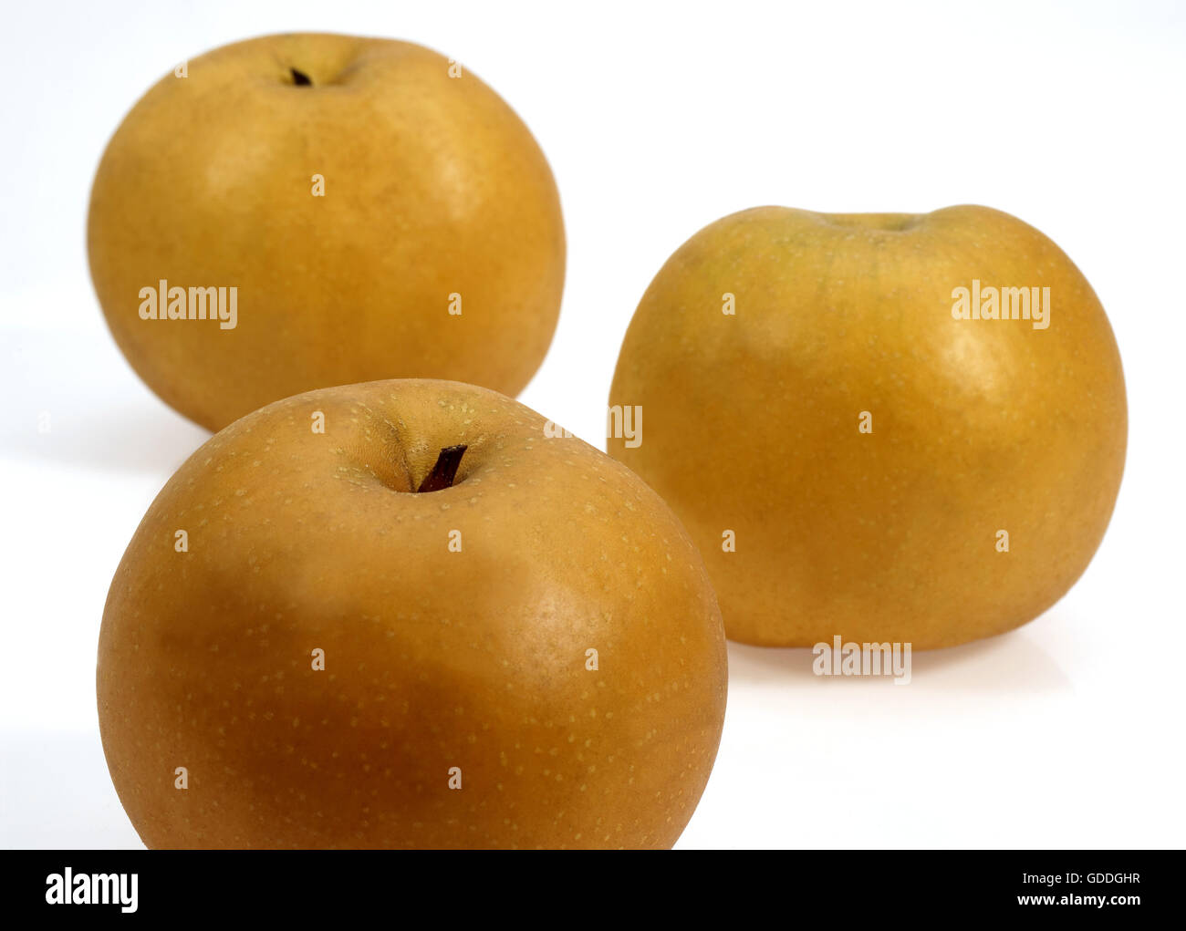 Nashi Pear, pyrus pyrifolia, Fruits against White Background Stock ...