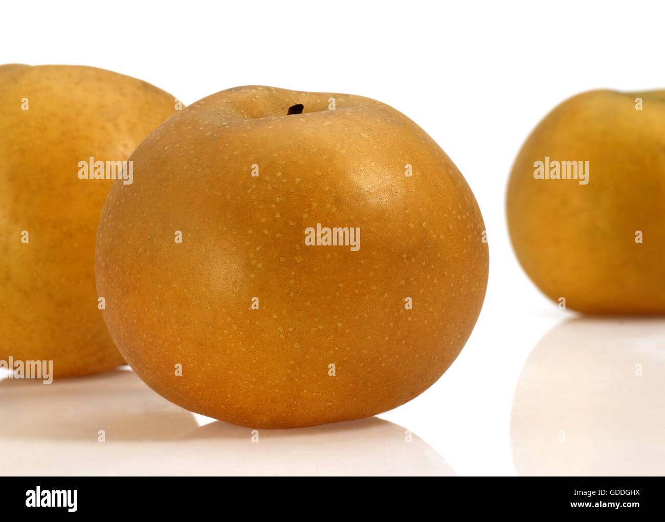Nashi Pear, pyrus pyrifolia, Fruits against White Background Stock ...