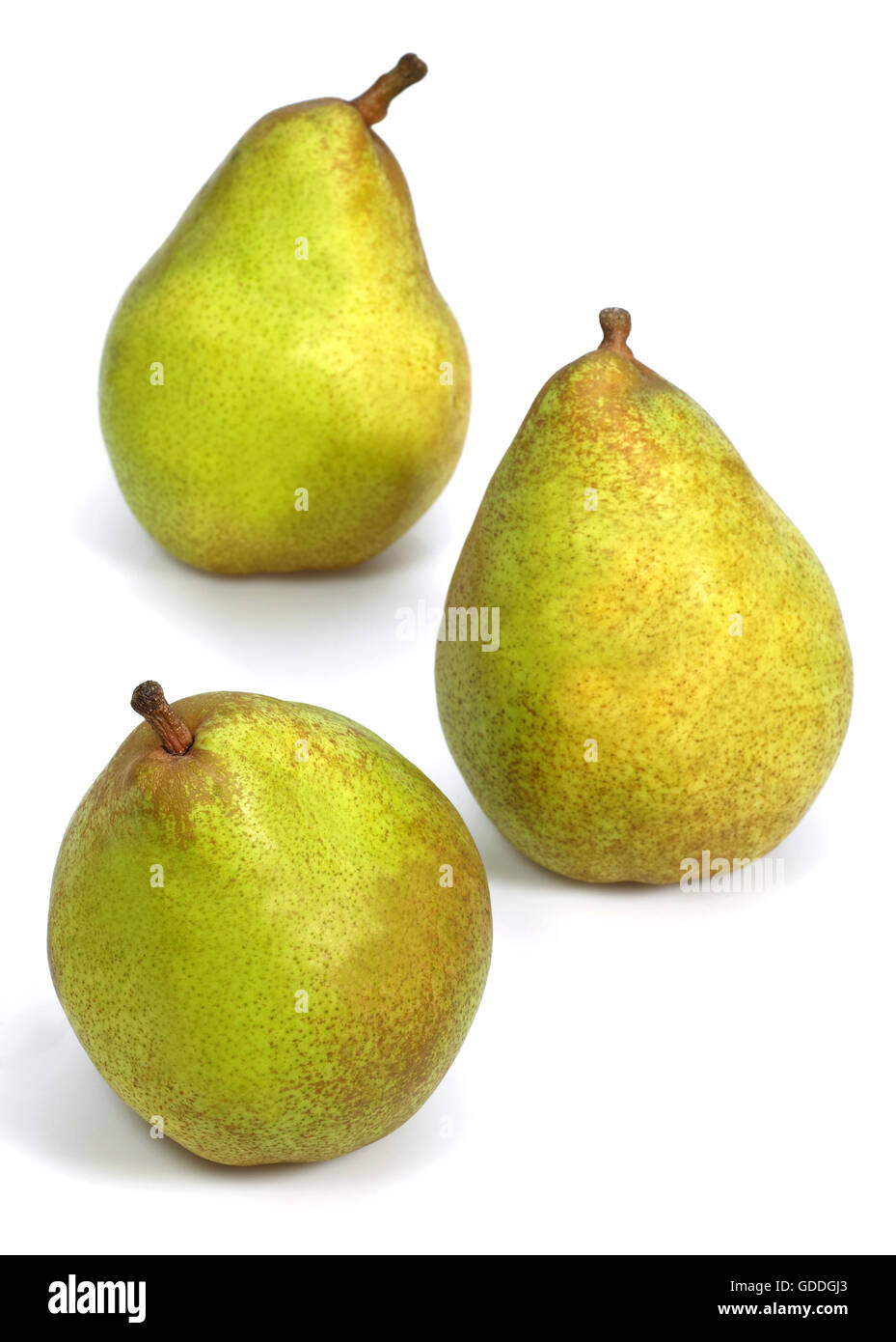 COMICE PEAR pyrus communis AGAINST WHITE BACKGROUND Stock Photo - Alamy