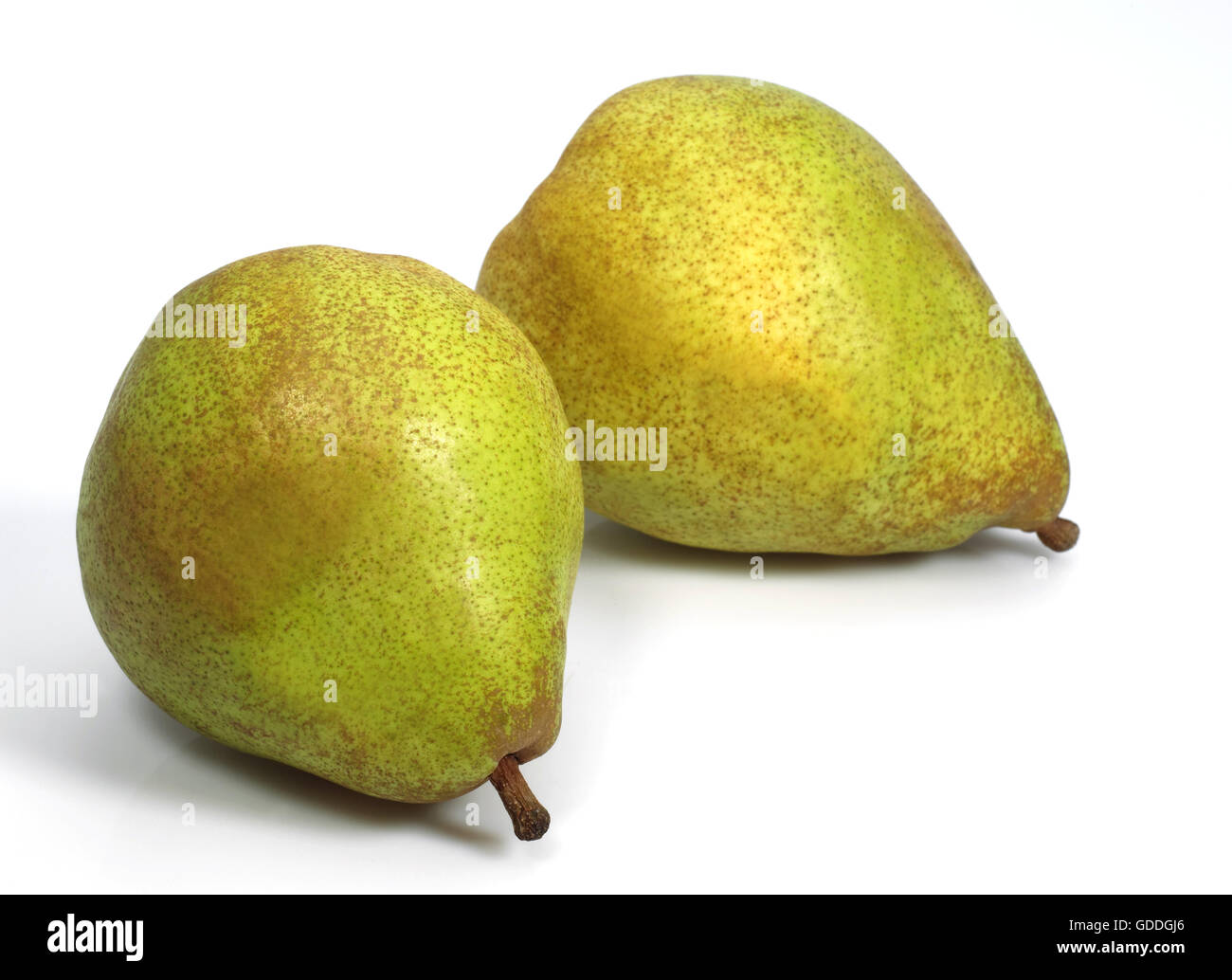 Comice Pear, pyrus communis, Fruits against White Background Stock ...