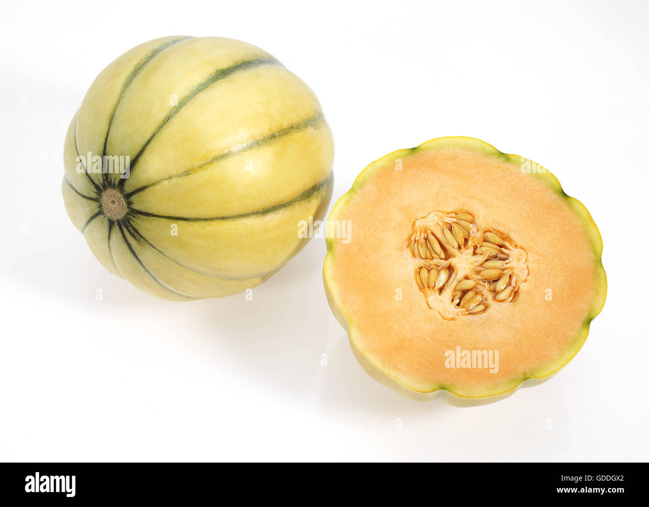 Cavaillon Melon, cucumis melo, Fruits on White Background Stock Photo ...