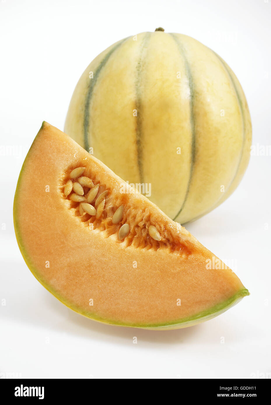 Cavaillon Melon, cucumis melo, Fruit against White Background Stock ...