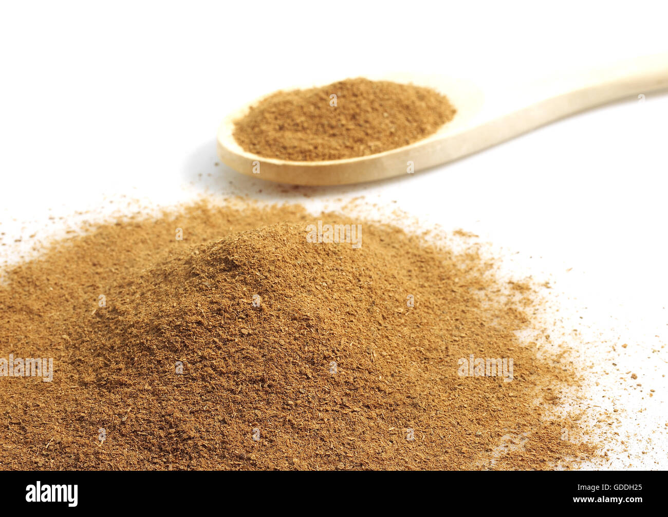 CINNAMON POWDER cinnamomum zeylanicum Stock Photo - Alamy