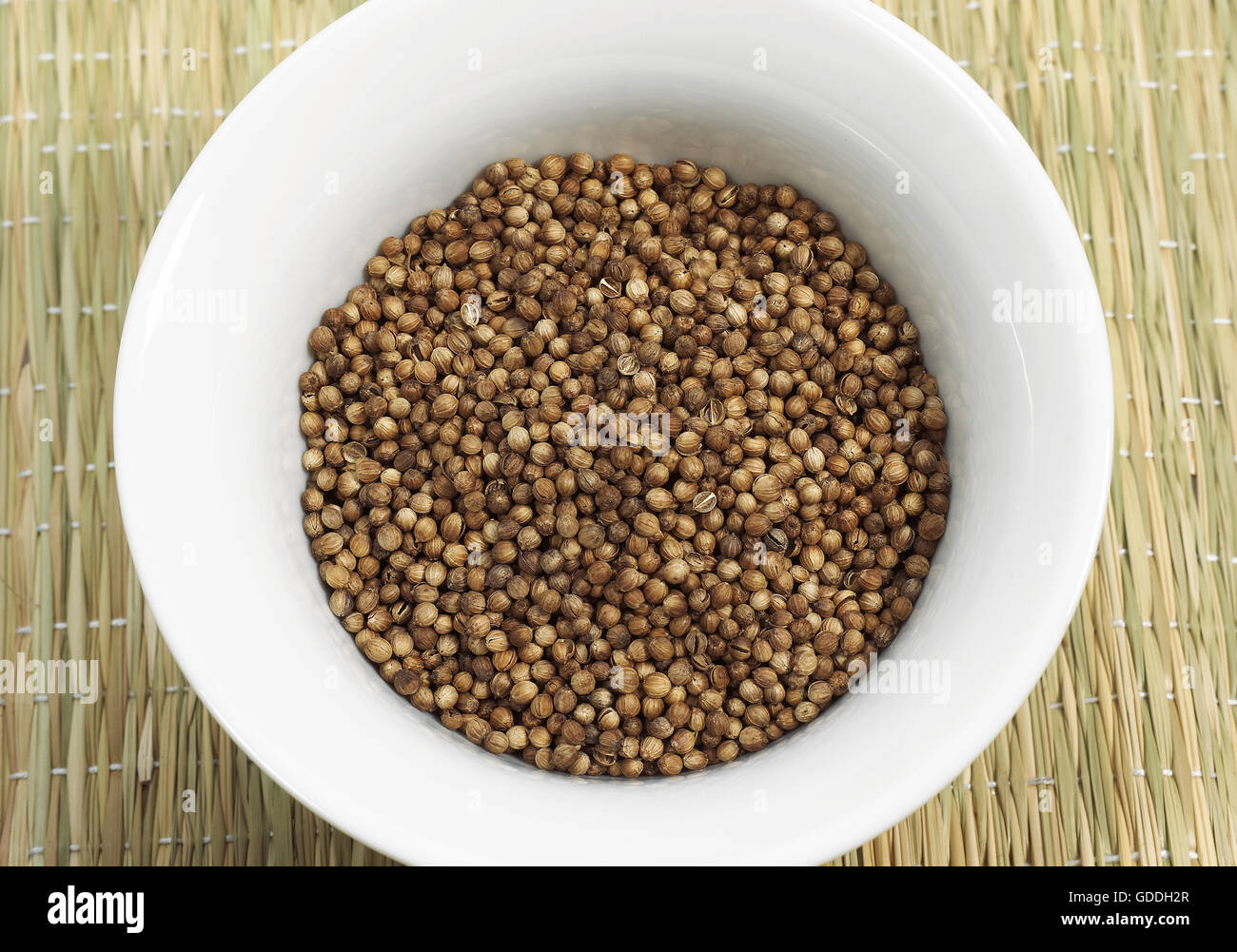 Coriandrum hi-res stock photography and images - Alamy