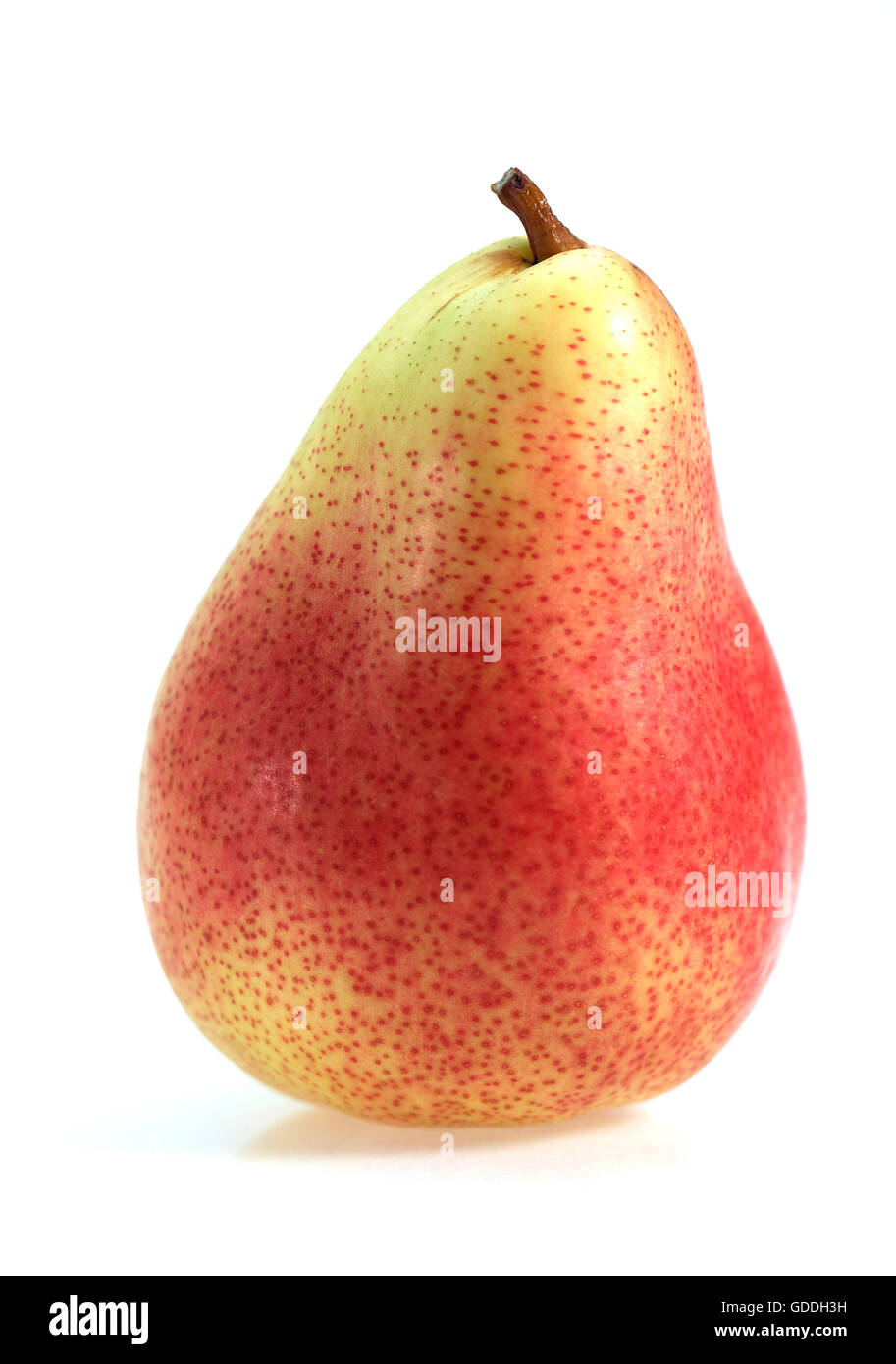 Rosemary Pear, pyrus communis, Fresh Fruit against White Background ...