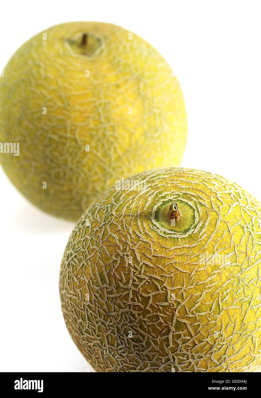 Italian Melon, cucumis melo, Fruits against White Background Stock ...