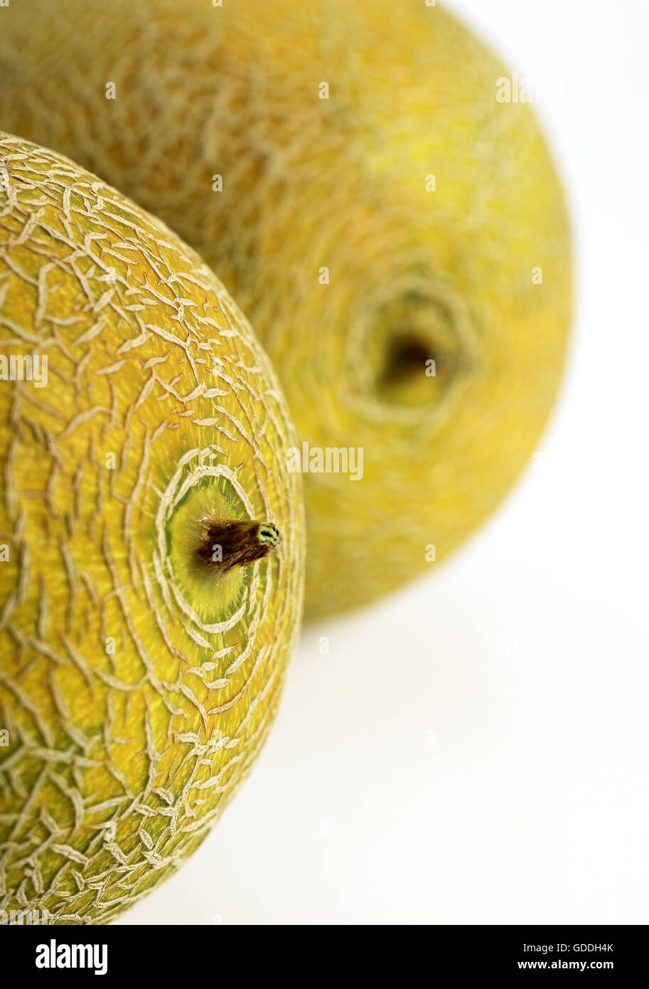 Italian Melon, cucumis melo, Fruits against White Background Stock ...