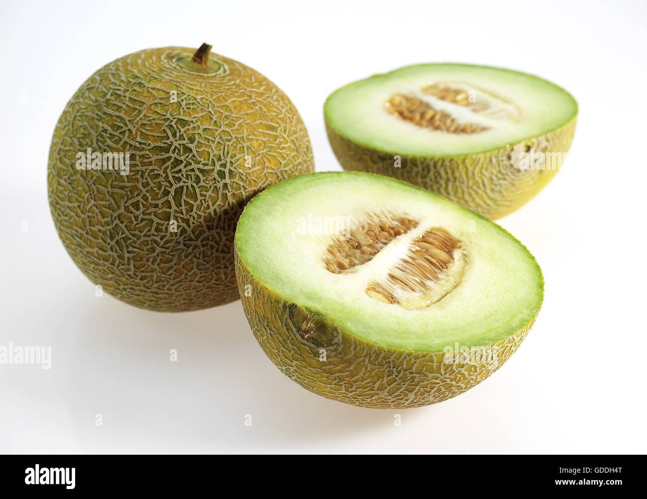 Italian Melon, cucumis melo, Fruits against White Background Stock ...