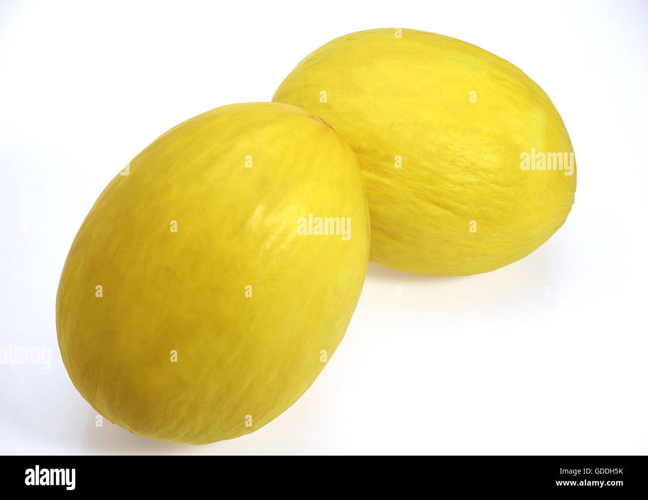 Yellow Spanish Melon, cucumis melo, Fruits against White Background ...