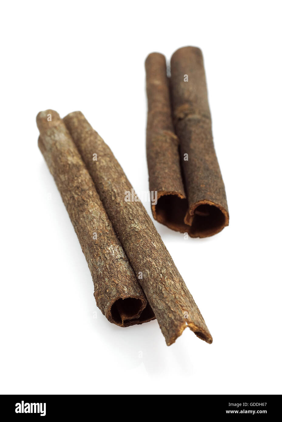 Chinese Cinnamon or Cassia Cinnamon, cinnamomum aromaticum Stock Photo ...