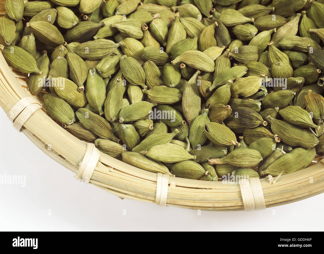 Matonia cardamomum hi-res stock photography and images - Alamy