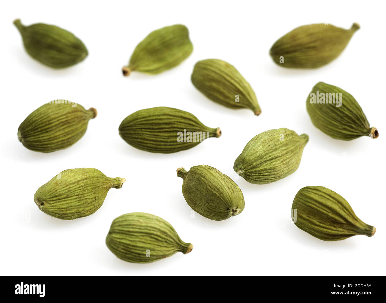 Cardamom, elettaria cardamomum, Seeds against White Background Stock ...